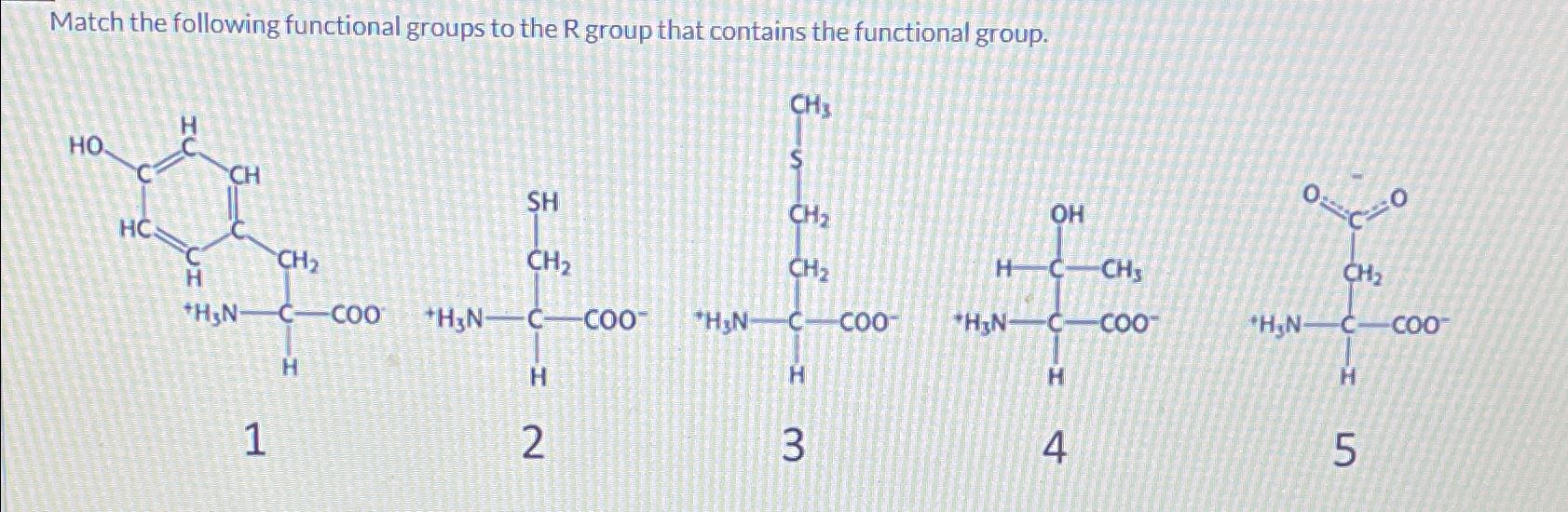 Solved Match the following functional groups to the R ﻿group | Chegg.com