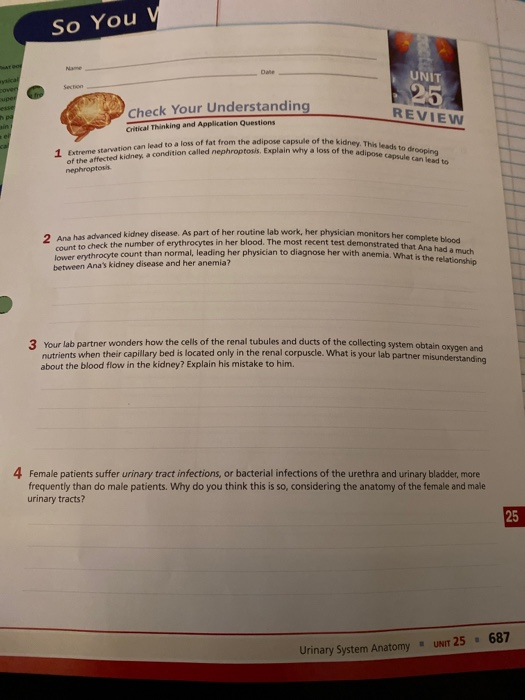 Solved So You V UNIT 25 Check Your Understanding Critical | Chegg.com