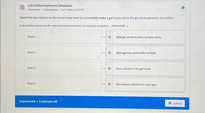 Solved L10.14 Electrophoresis Simulation Homework Unanswered | Chegg.com