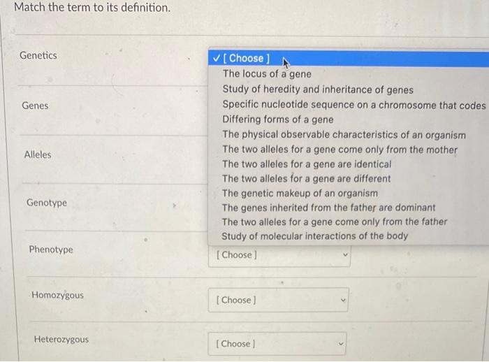 Solved Match the term to its definition. Genetics Genes | Chegg.com