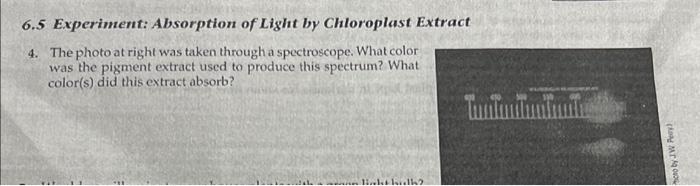 6.5 Experiment: Absorption of Light by Chloroplast | Chegg.com