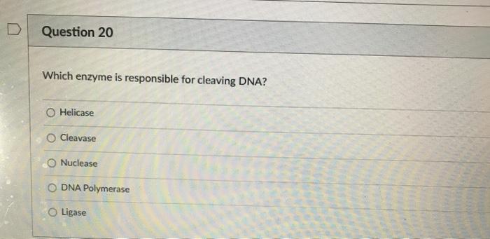 Solved Question 20 Which enzyme is responsible for cleaving | Chegg.com