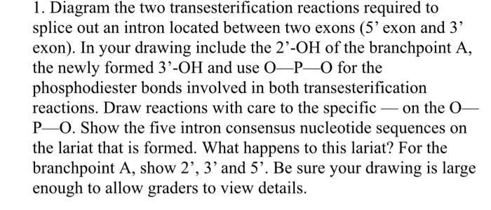 Solved 1. Diagram the two transesterification reactions | Chegg.com
