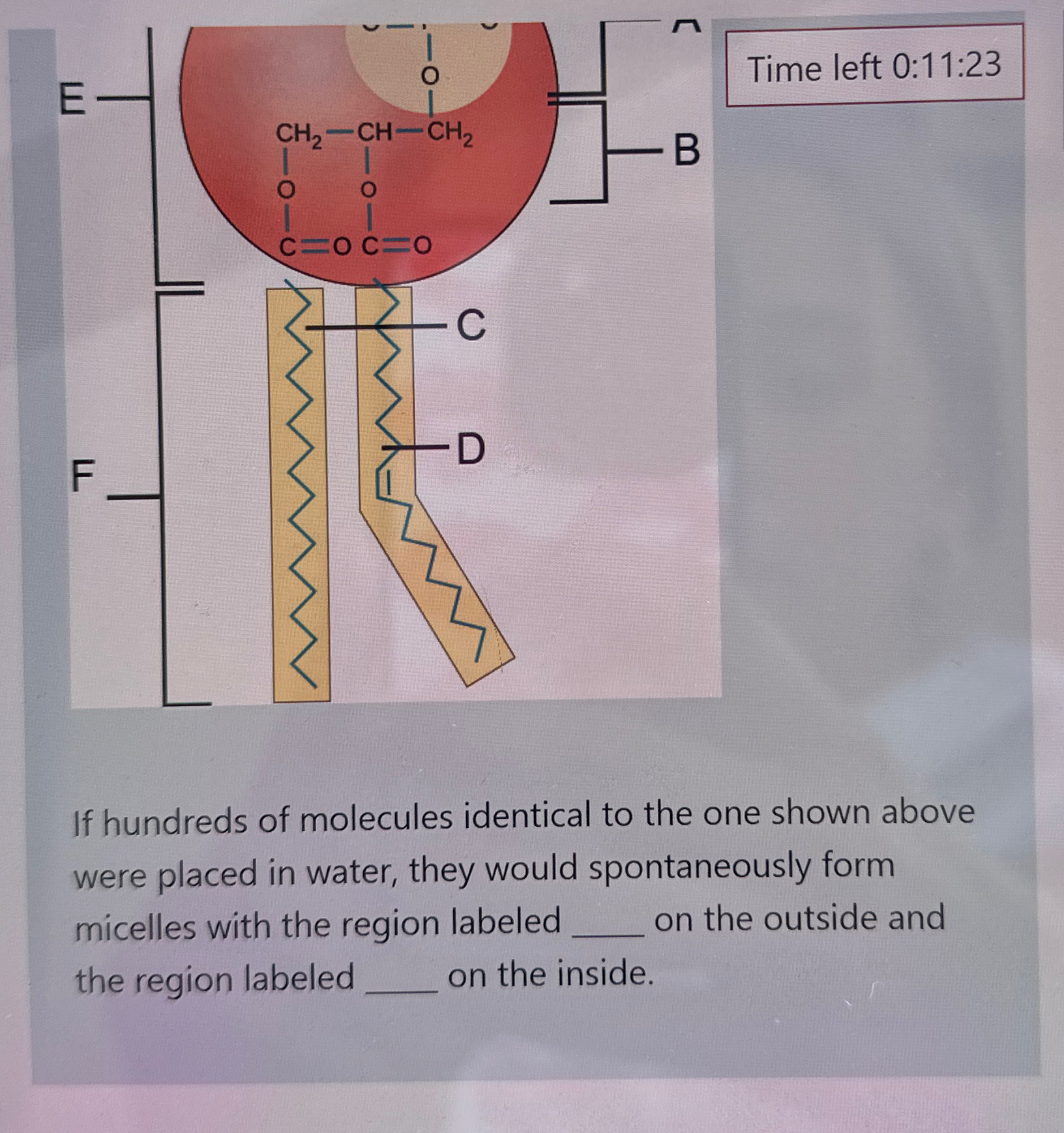 Solved Time left 0:11:23If hundreds of molecules identical | Chegg.com