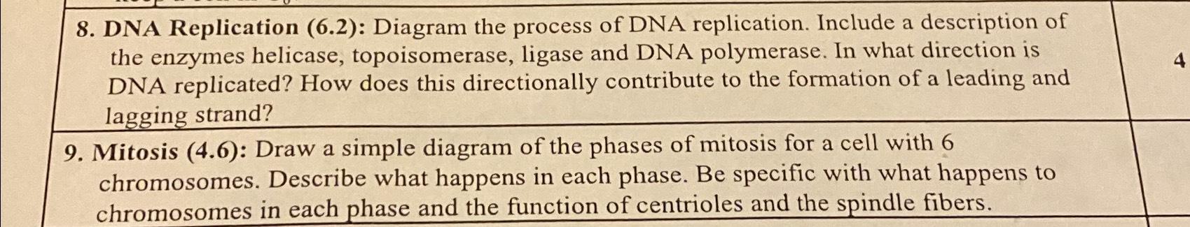 Solved DNA Replication (6.2): Diagram the process of DNA | Chegg.com
