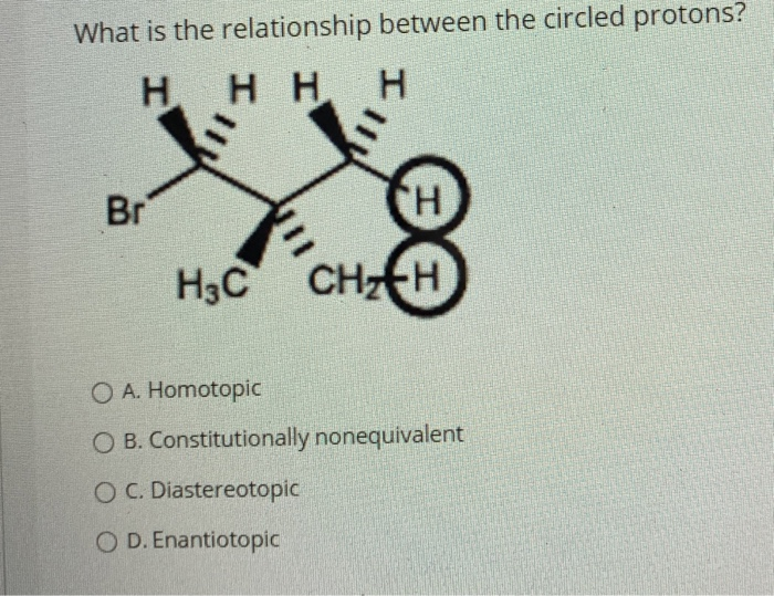 Solved What is the relationship between the circled protons? | Chegg.com