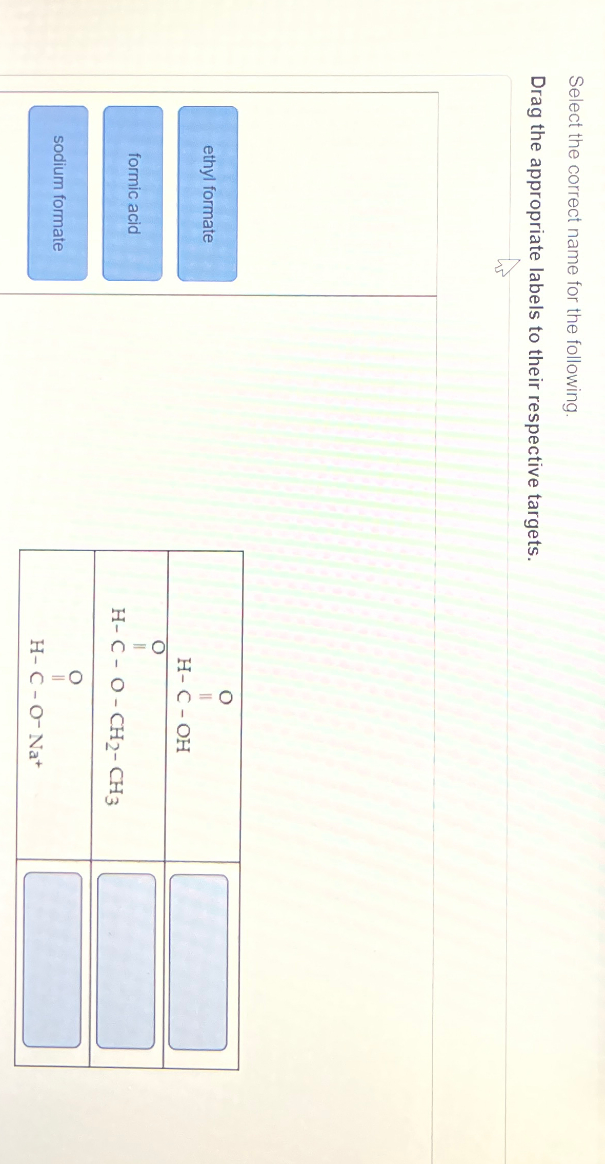 Solved Select the correct name for the following.Drag the | Chegg.com