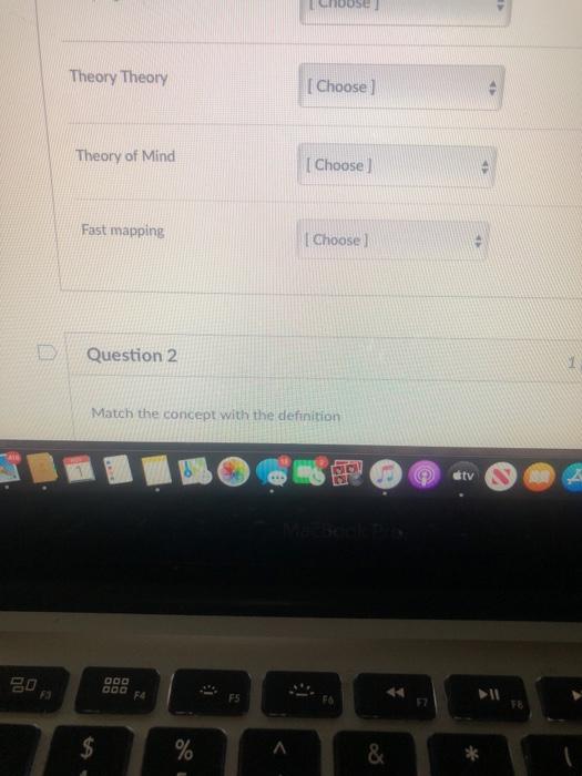Solved Corpus Callosum Symbolic function substage Intuitive | Chegg.com