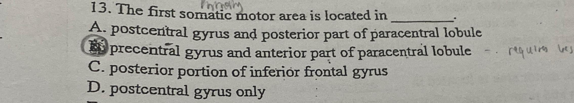 Solved The first somatic motor area is located inA. | Chegg.com