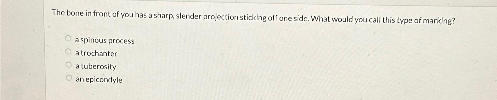 Solved The bone in front of you has a sharp, slender | Chegg.com