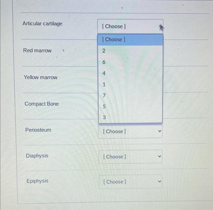 Solved Examine the image below. Match the number in the | Chegg.com