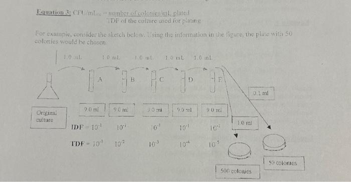 Solved Practice problem F1: How many CFU/mL are in Tubes A. | Chegg.com