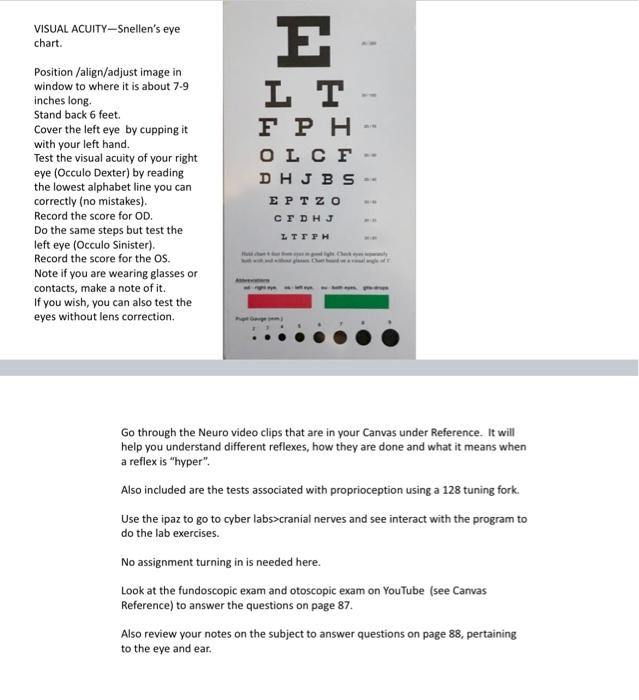 DATA: VISUAL ESTIMATE OF SIZE OF THE PHYSIOLOGIC | Chegg.com