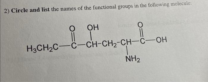 Solved 2) Circle and list the names of the functional groups | Chegg.com
