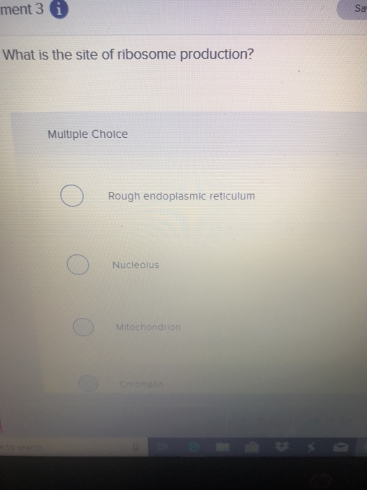 Solved ment 3 i What is the site of ribosome production? | Chegg.com