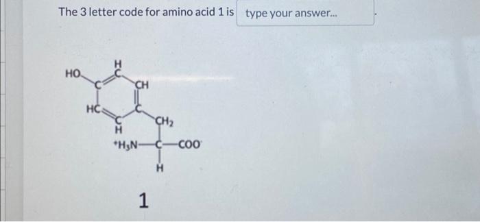 Solved The 3 letter code for amino acid 1 is type your | Chegg.com