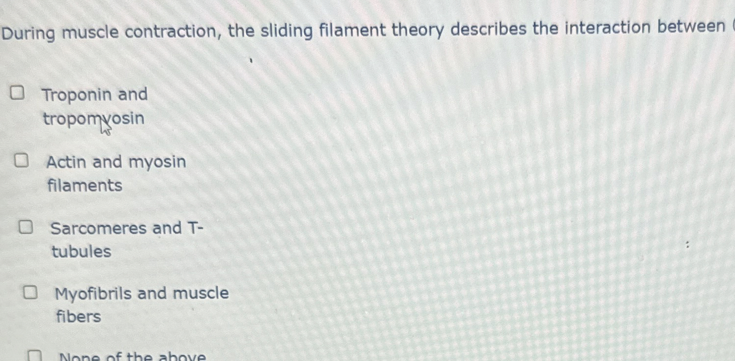 Solved During muscle contraction, the sliding filament | Chegg.com