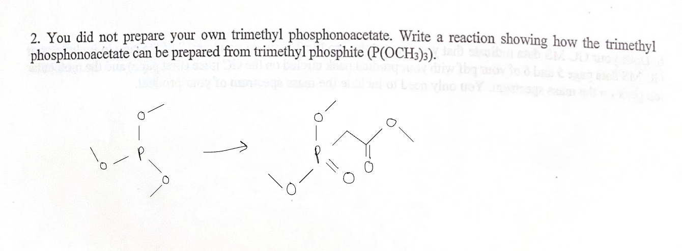 Solved You did not prepare your own trimethyl | Chegg.com