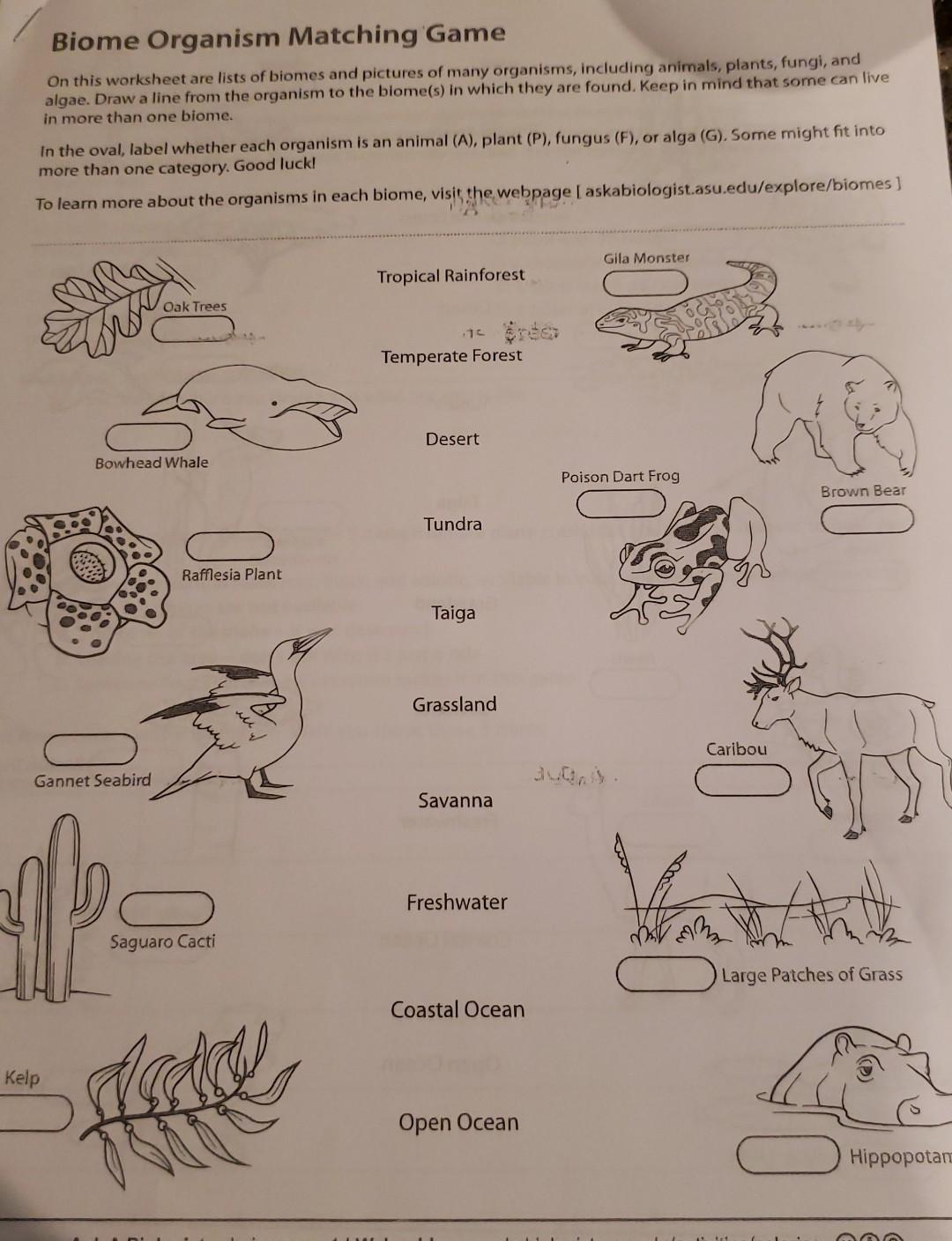 Solved Biome Organism Matching Game On this worksheet are | Chegg.com