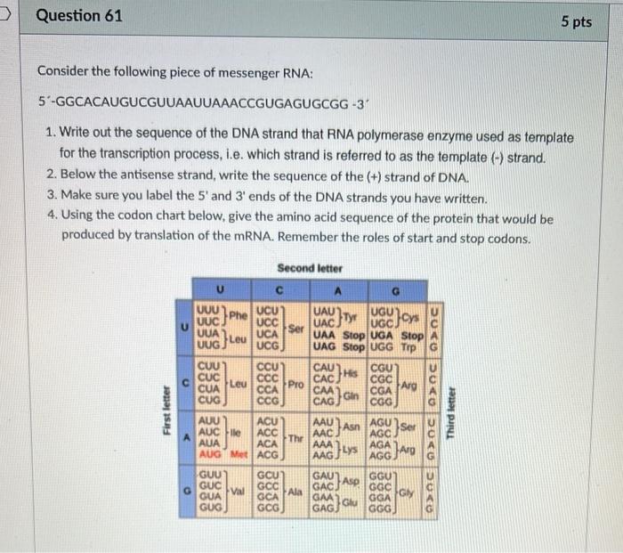 Solved Consider the following piece of messenger RNA: | Chegg.com