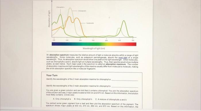 Solved For TLC plate on the right, use the metric ruler to | Chegg.com