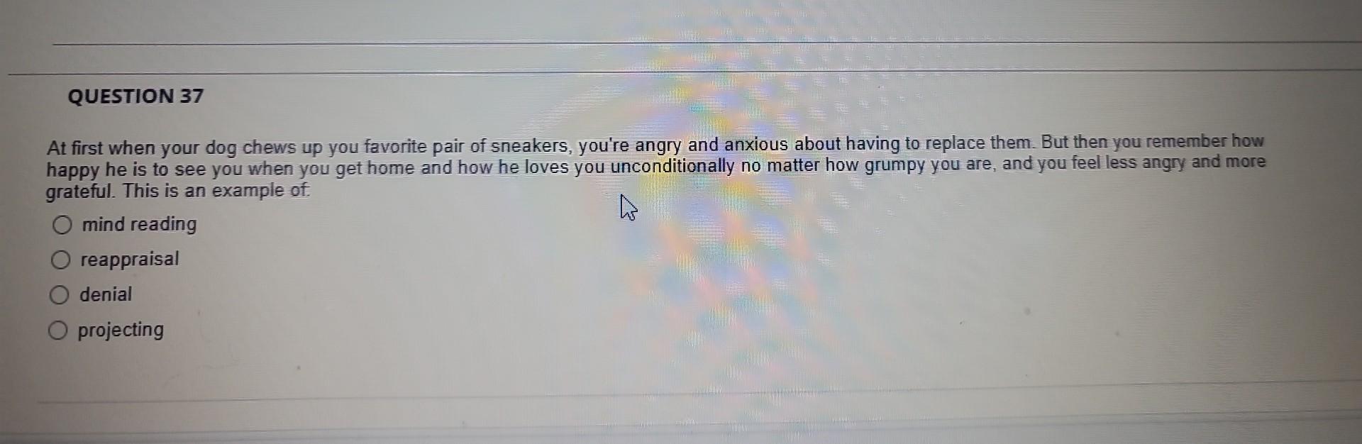 Solved At first when your dog chews up you favorite pair of | Chegg.com