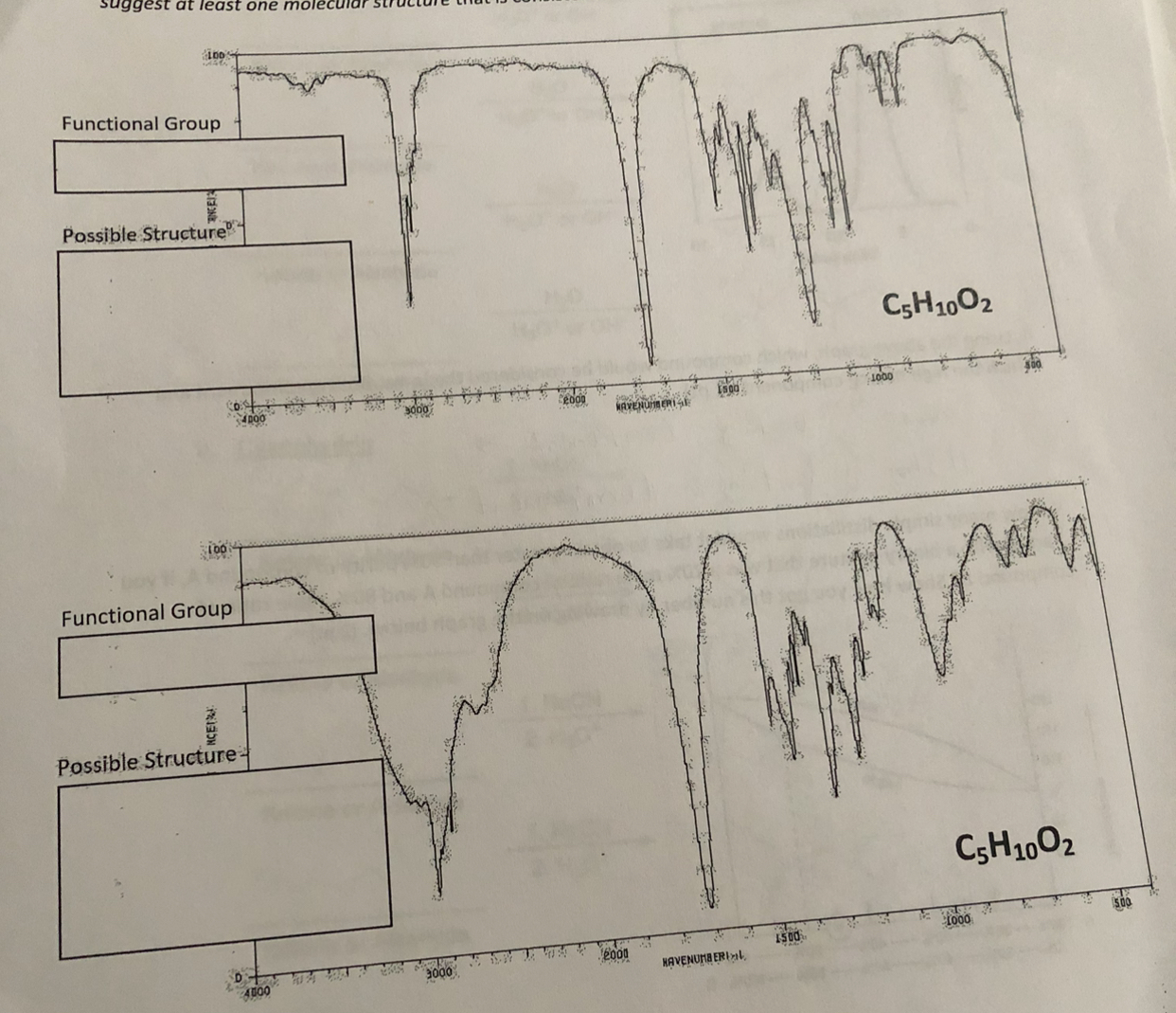 Solved From the spectra, find the main functional group and | Chegg.com