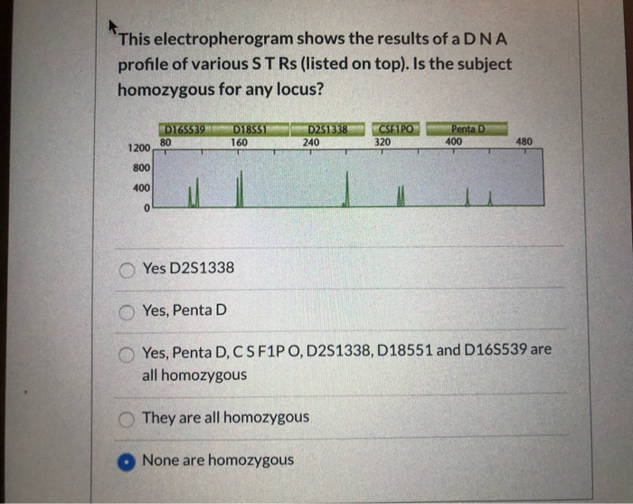 Solved "This electropherogram shows the results of a DNA | Chegg.com