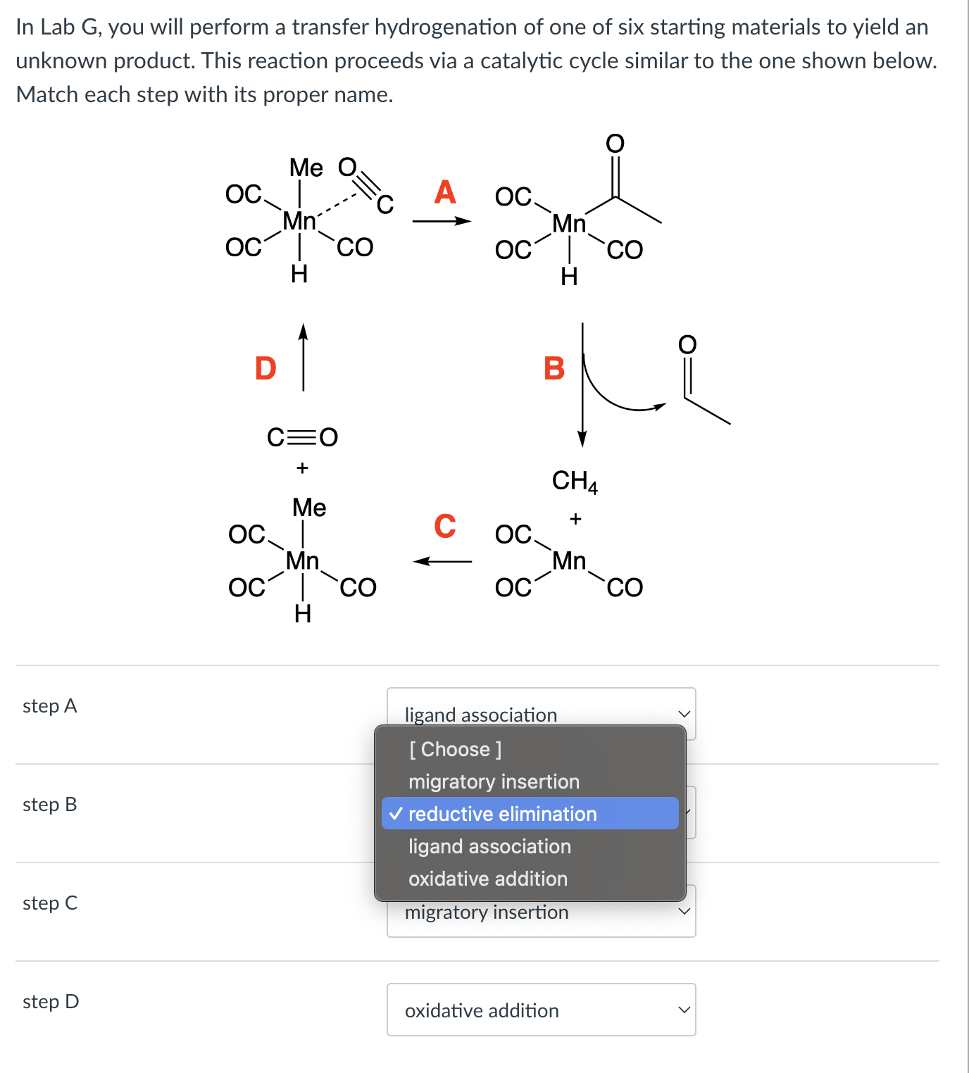 Solved Same Four Options For Each Question Chegg