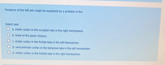 Solved Paralysis of the left arm might be explained by a | Chegg.com