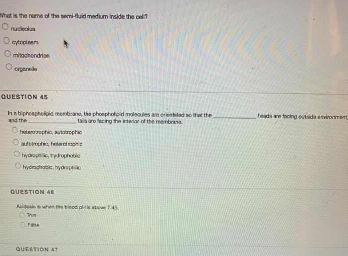 Solved What is the name of the semi-fluid medium inside the | Chegg.com