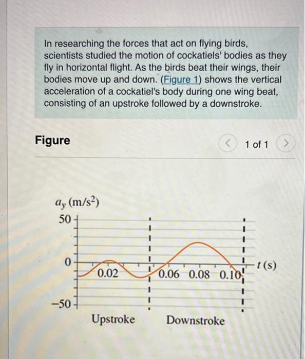 Solved In researching the forces that act on flying birds, | Chegg.com