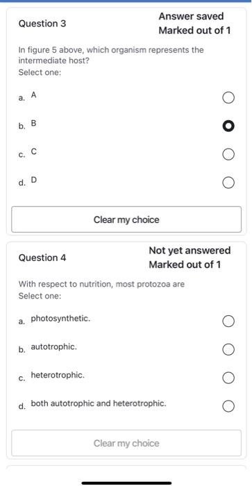 Solved Figure 5In figure 5 above, which organism represents | Chegg.com