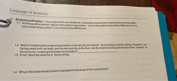 Anatomical Position - Use a figure from your textbook | Chegg.com
