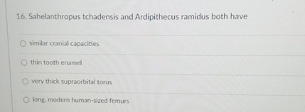 Solved Sahelanthropus tchadensis and Ardipithecus ramidus | Chegg.com