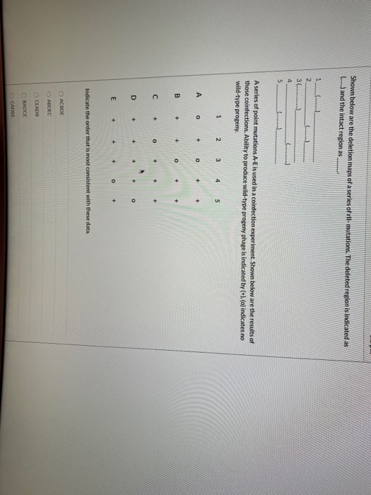 Solved Shown below are the deletion maps of a series of | Chegg.com
