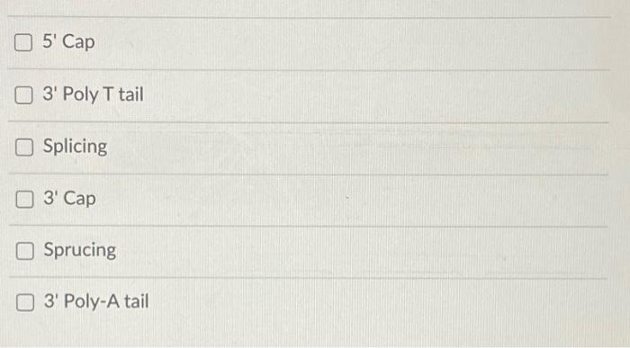 Solved 5' Cap O 3' Poly T tail Splicing 3' Cap Sprucing 3' | Chegg.com