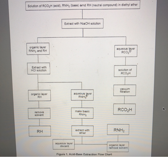 Solved Solution of RCO2H (acid), RNH2 (base) and RH (neutral | Chegg.com