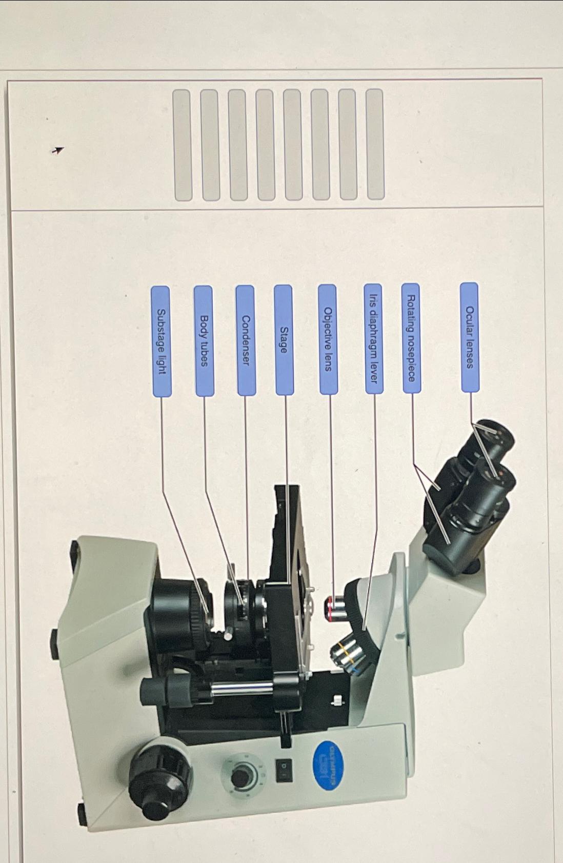Solved label microscope | Chegg.com