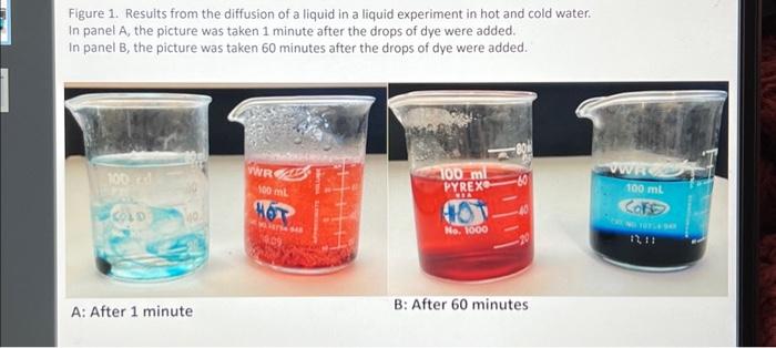 Solved Question 6 refers to the Diffusion of a liquid within | Chegg.com
