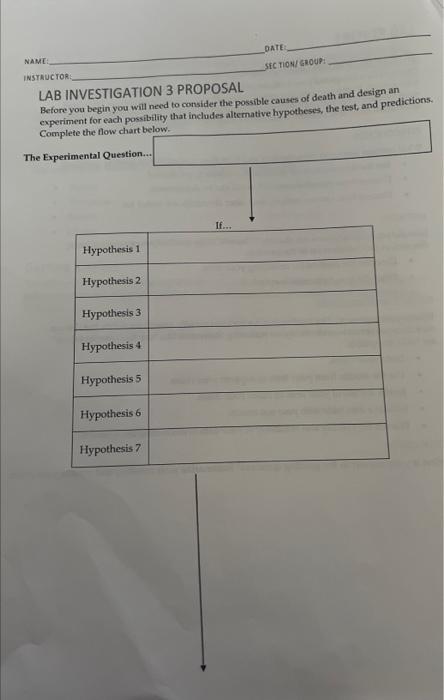 as part of a cornplete it is standard practice for | Chegg.com