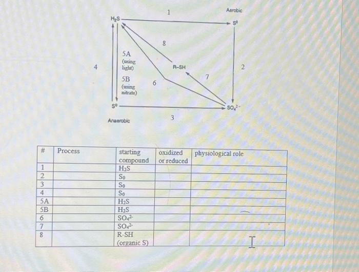 Solved urgent help | Chegg.com
