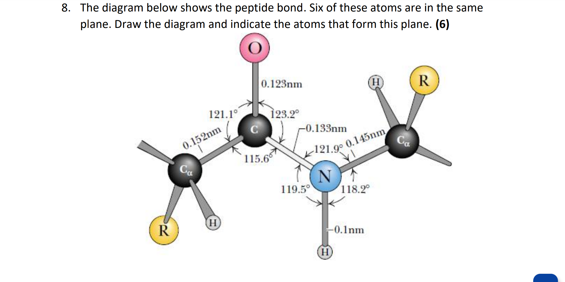 Solved The diagram below shows the peptide bond. Six of | Chegg.com