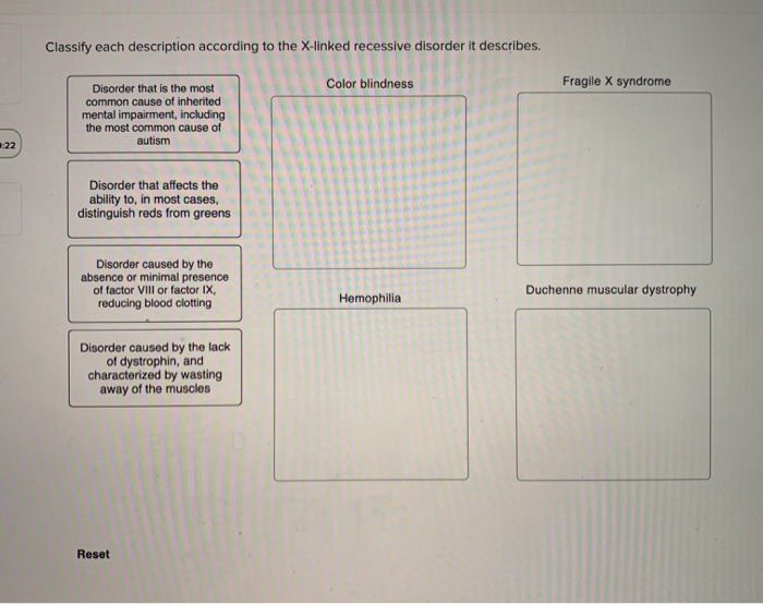 Solved Classify each description according to the X-linked | Chegg.com