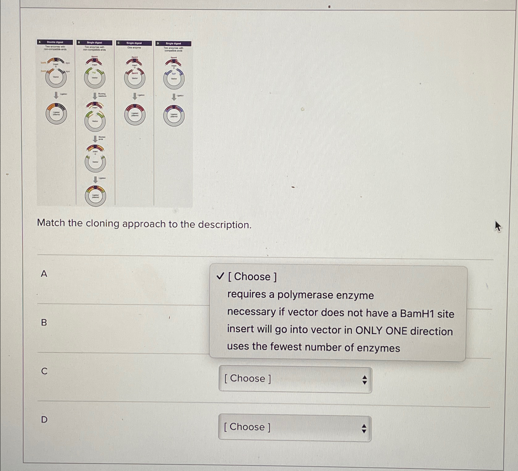 Solved Match the cloning approach to the | Chegg.com