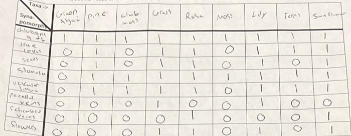 Use scratch paper to develop your phylogeny; your | Chegg.com