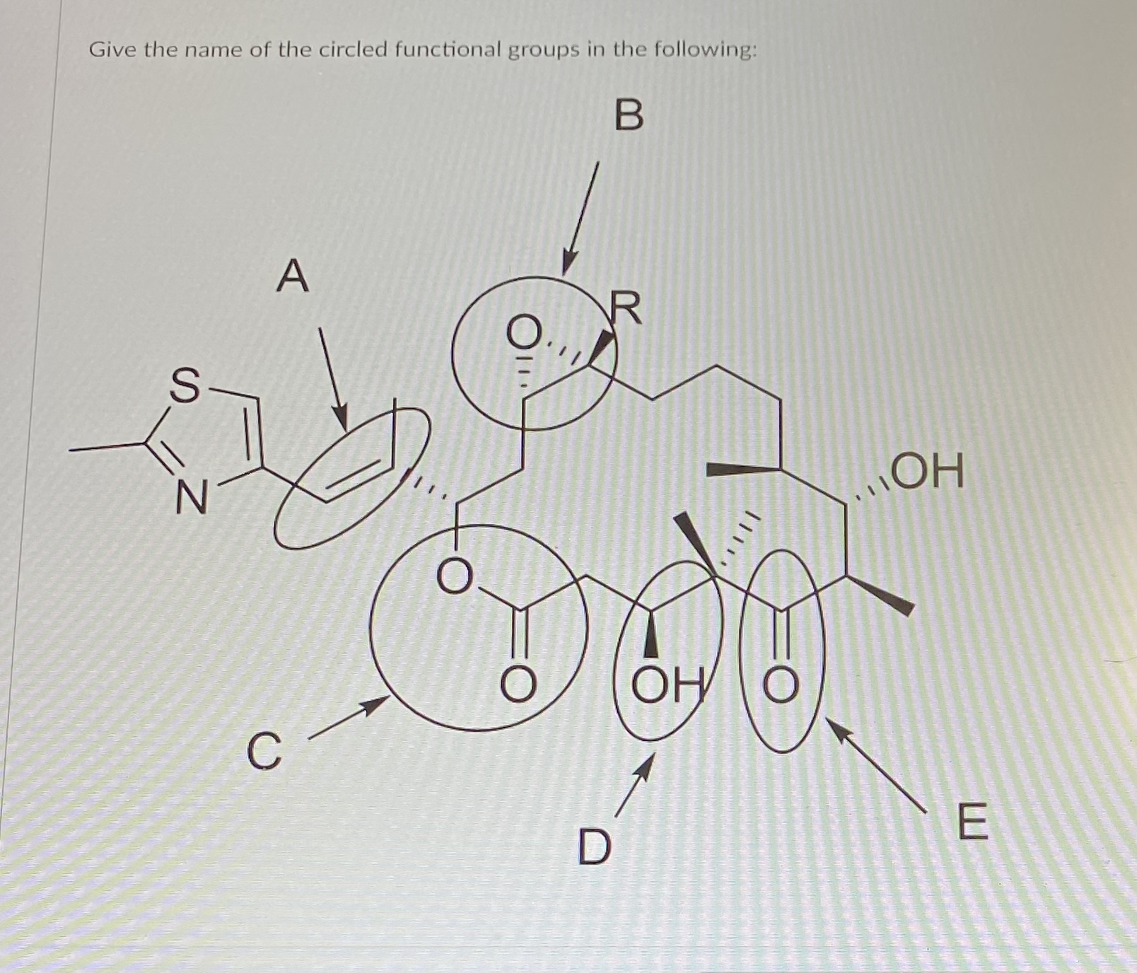 Solved Give the name of the circled functional groups in the | Chegg.com