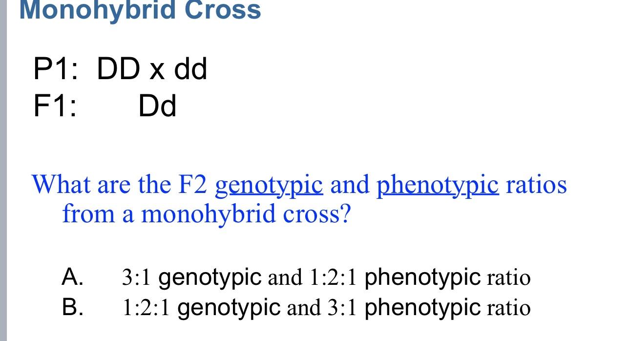 Solved Monohybrid CrossP1: DD xddF1: DdWhat are the F2 | Chegg.com