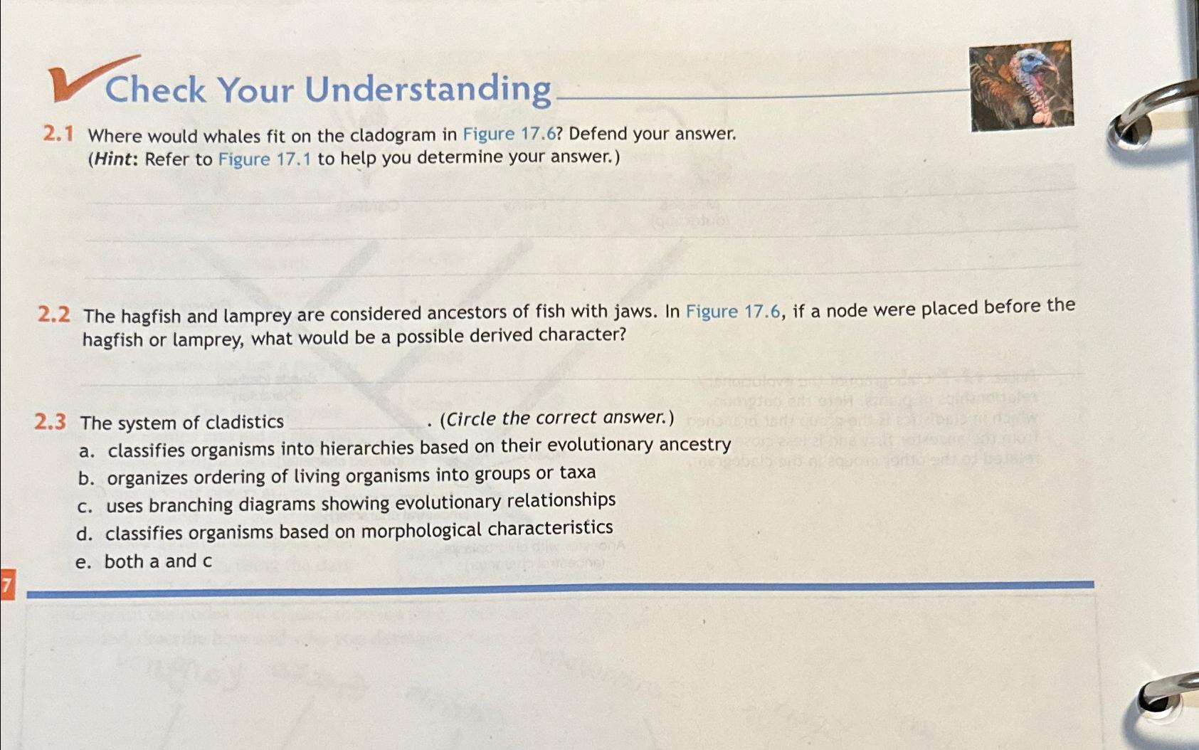 Solved Check Your Understanding2.1 ﻿Where would whales fit | Chegg.com