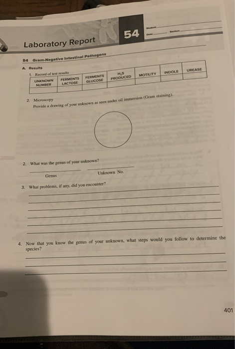 54 Laboratory Report UREASE 54 Gram-Negative | Chegg.com
